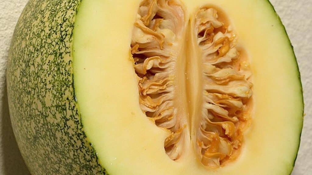 Comment savoir si un melon est mûr : 5 astuces infaillibles